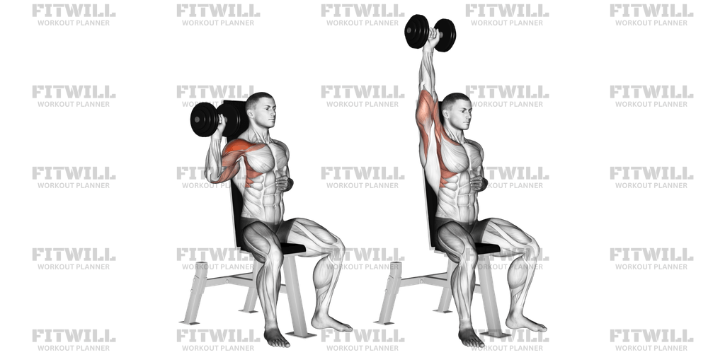 Dumbbell Seated One Arm Shoulder Press: Exercise Guide, Techniques, Benefits, How to, Muscles ...