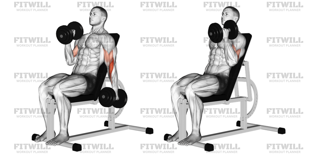 Dumbbell Incline Alternate Hammer Curl: Exercise Guide, Video ...