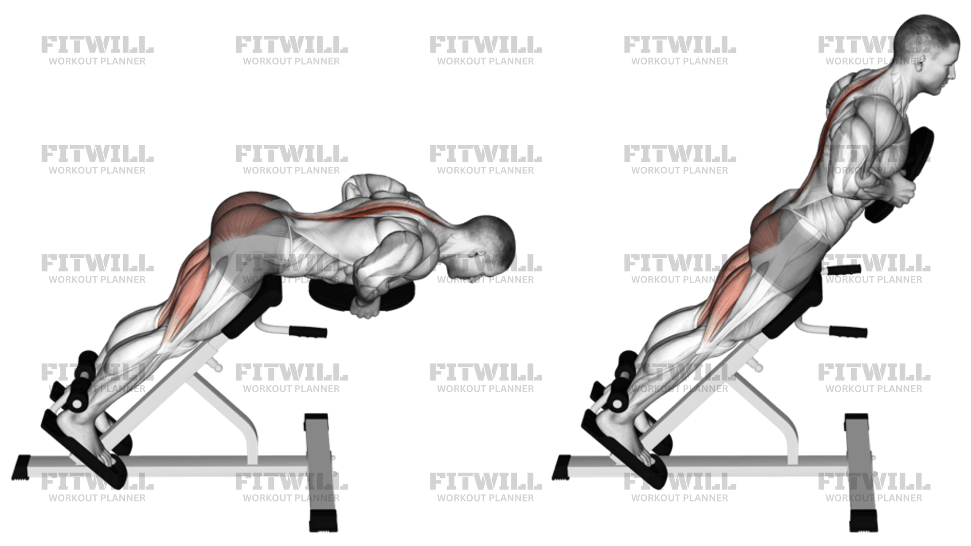 Plate Hyperextension: Exercise Guide, Techniques, Benefits, How to ...
