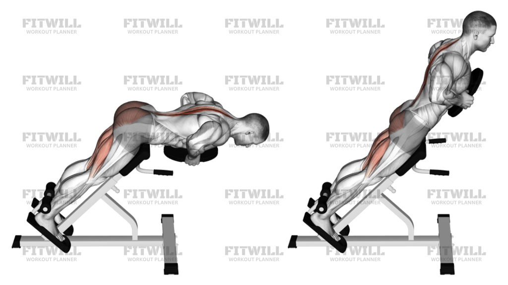 Plate Hyperextension: Exercise Guide, Techniques, Benefits, How to ...