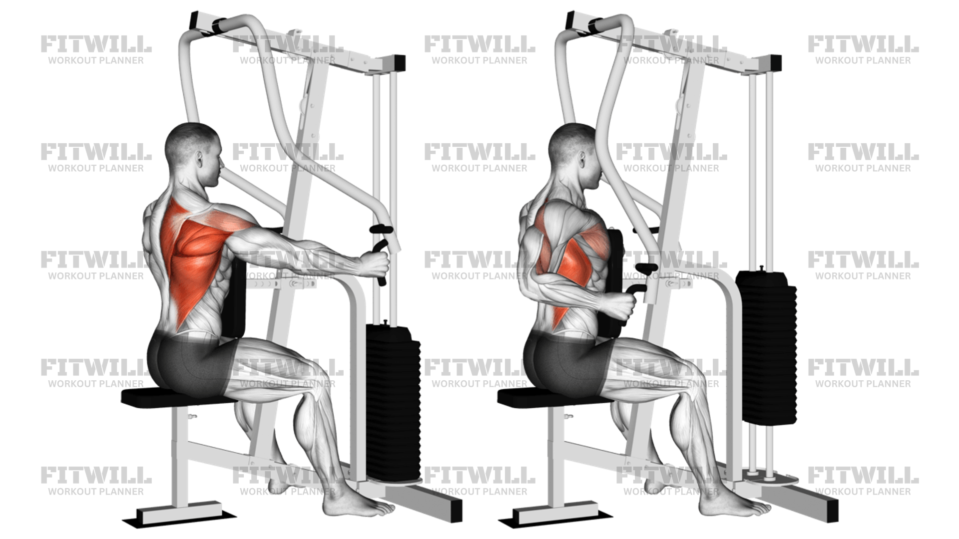 Lever One Arm Seated Row (Seated Row Machine): Exercise Guide ...
