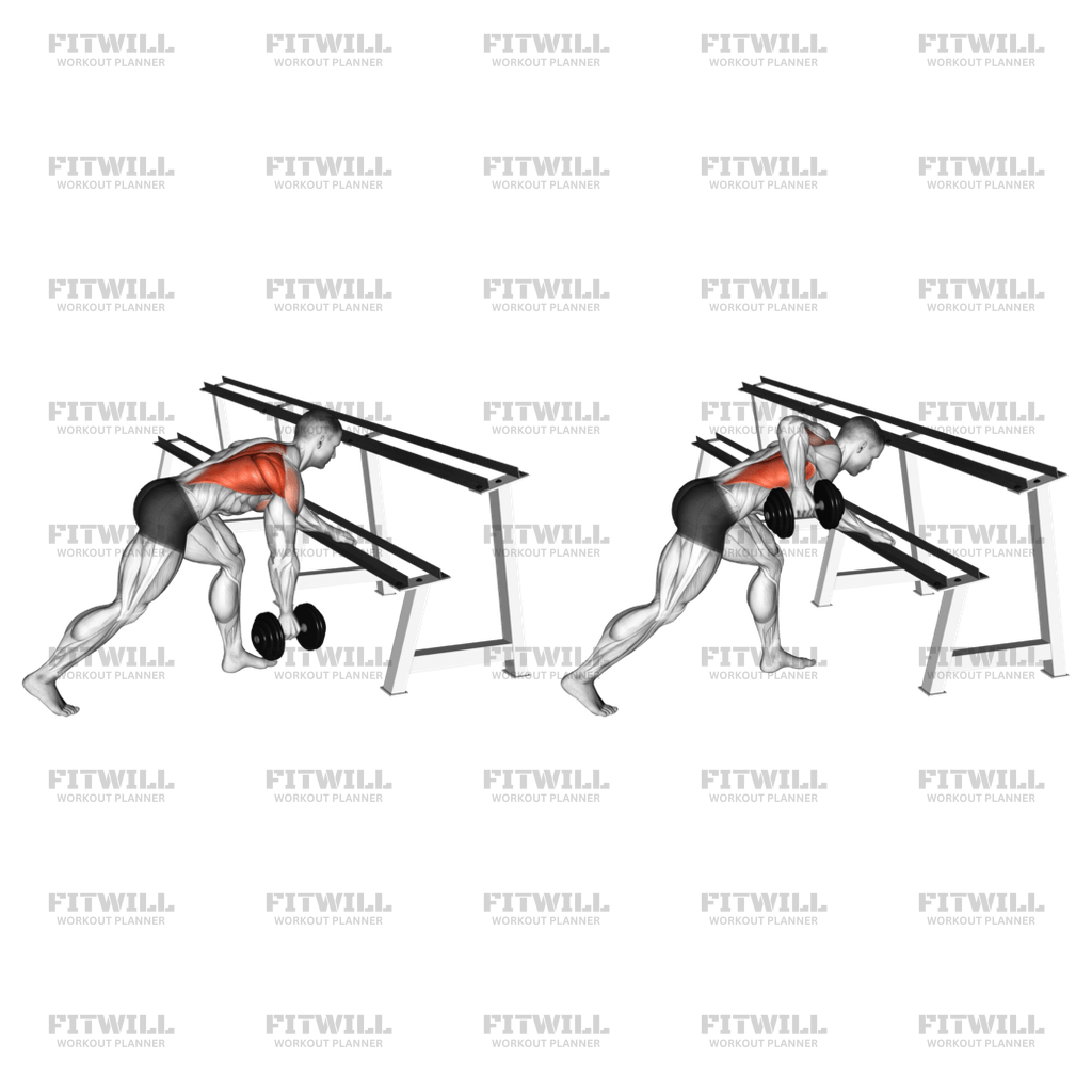 Dumbbell One Arm Row (rack Support): Exercise Guide, Video, Techniques ...
