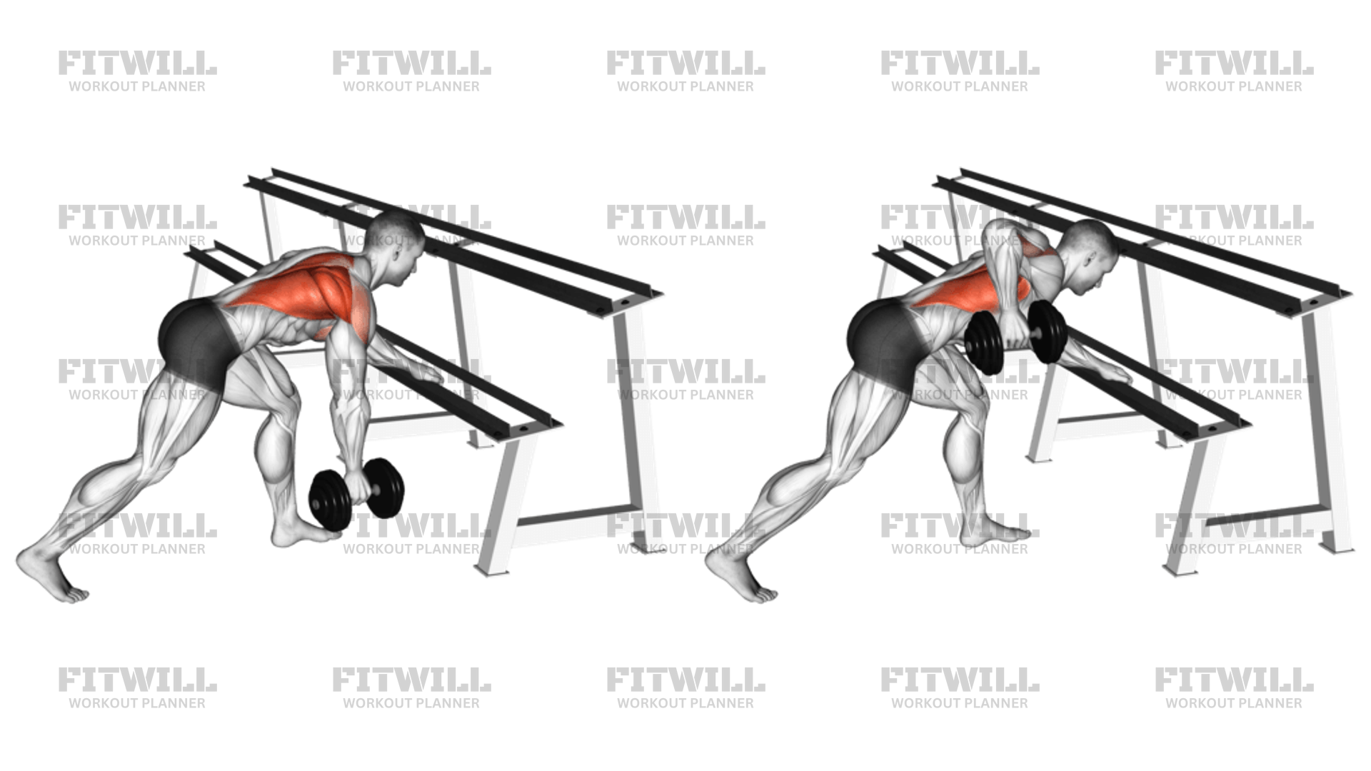 Dumbbell One Arm Row (rack Support): Exercise Guide, Video, Techniques ...