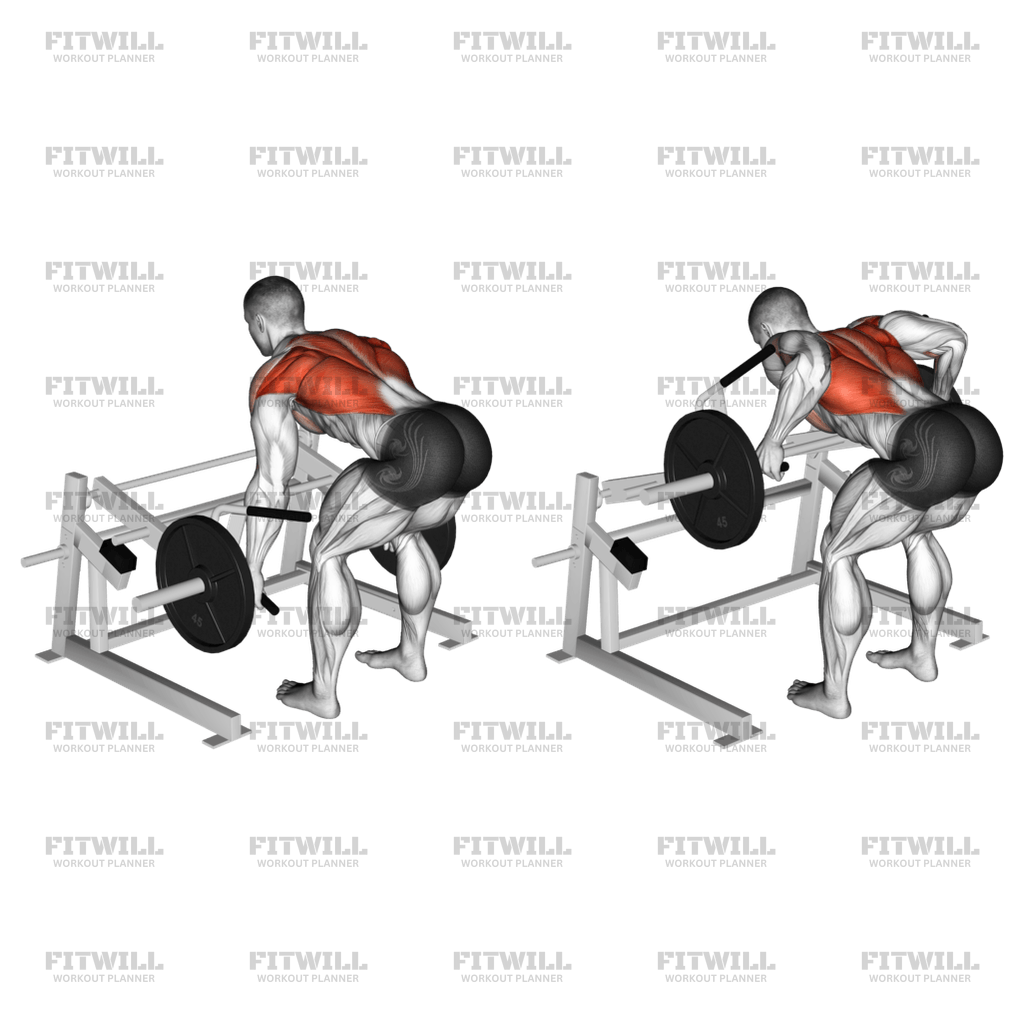 Standing Lever Row: Exercise Guide, Video, Techniques, Benefits, How to, Muscles Worked, Tips ...