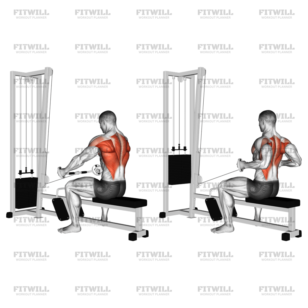 Cable Seated Row (Bent Bar): Exercise Guide, Techniques, Benefits, How ...