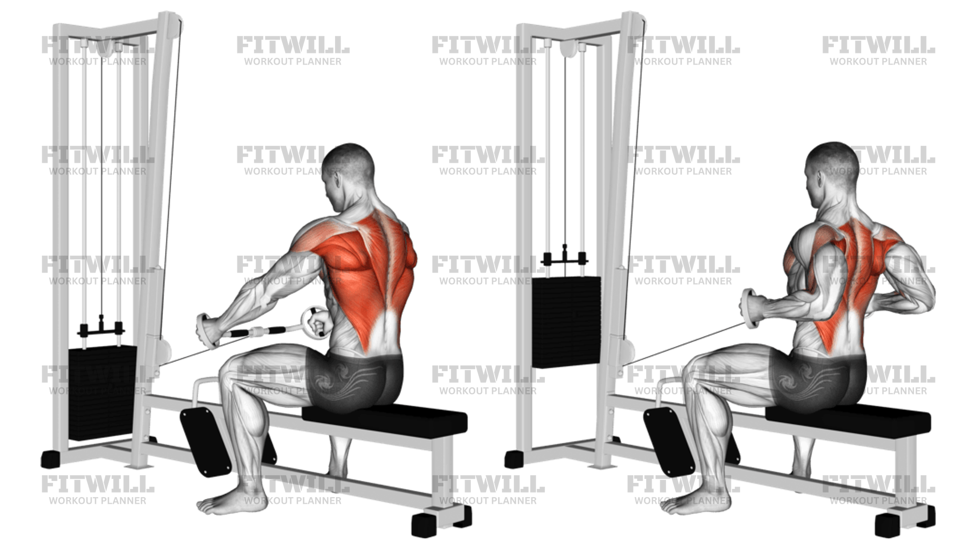 Remo Sentado Con Cable (Barra Curvada): Guía de Ejercicios, Técnicas ...