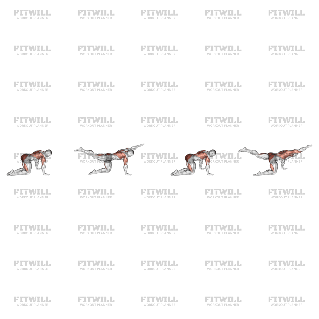 Bird Dog: Exercise Guide, Video, Techniques, Benefits, How to, Muscles ...