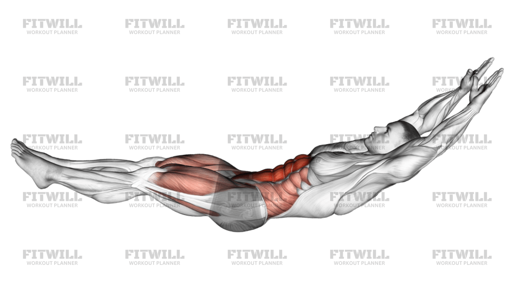Hollow Hold: Exercise Video | Fitwill