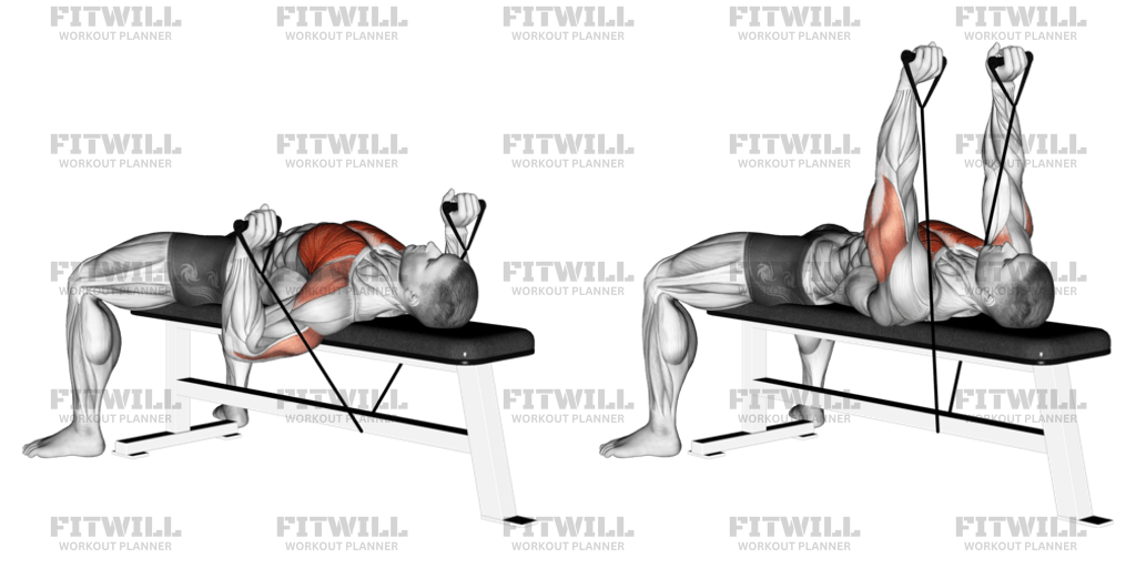 Band Bench Press: Exercise Guide, Video, Techniques, Benefits, How to ...