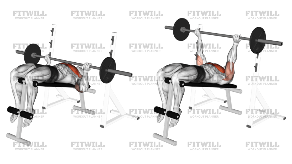 Barbell Reverse-Grip Decline Bench Press: Exercise Guide, Techniques ...