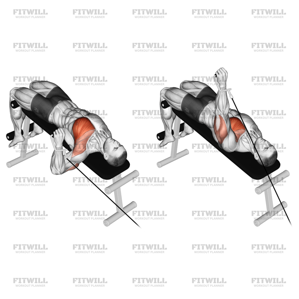 Press Unilateral No Cabo Em Declínio: Guia de Exercícios, Técnicas ...