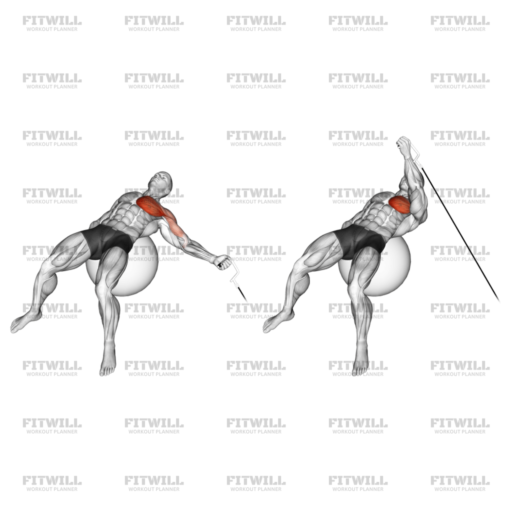 Cable One Arm Fly On Exercise Ball: Exercise Guide, Techniques ...