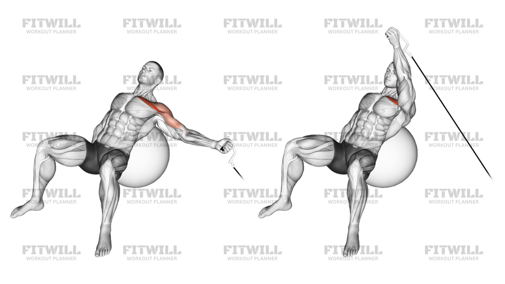 Voador Inclinado Unilateral No Cabo Com Bola De Exercício: Guia de ...