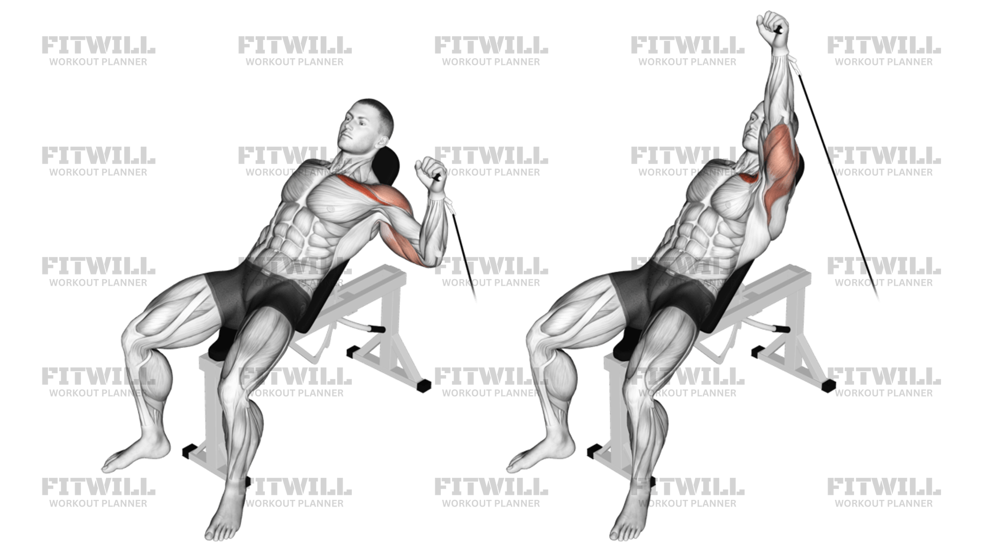 Press De Un Brazo En Banco Inclinado Con Cable: Guía de Ejercicios, Técnicas, Beneficios, Cómo ...