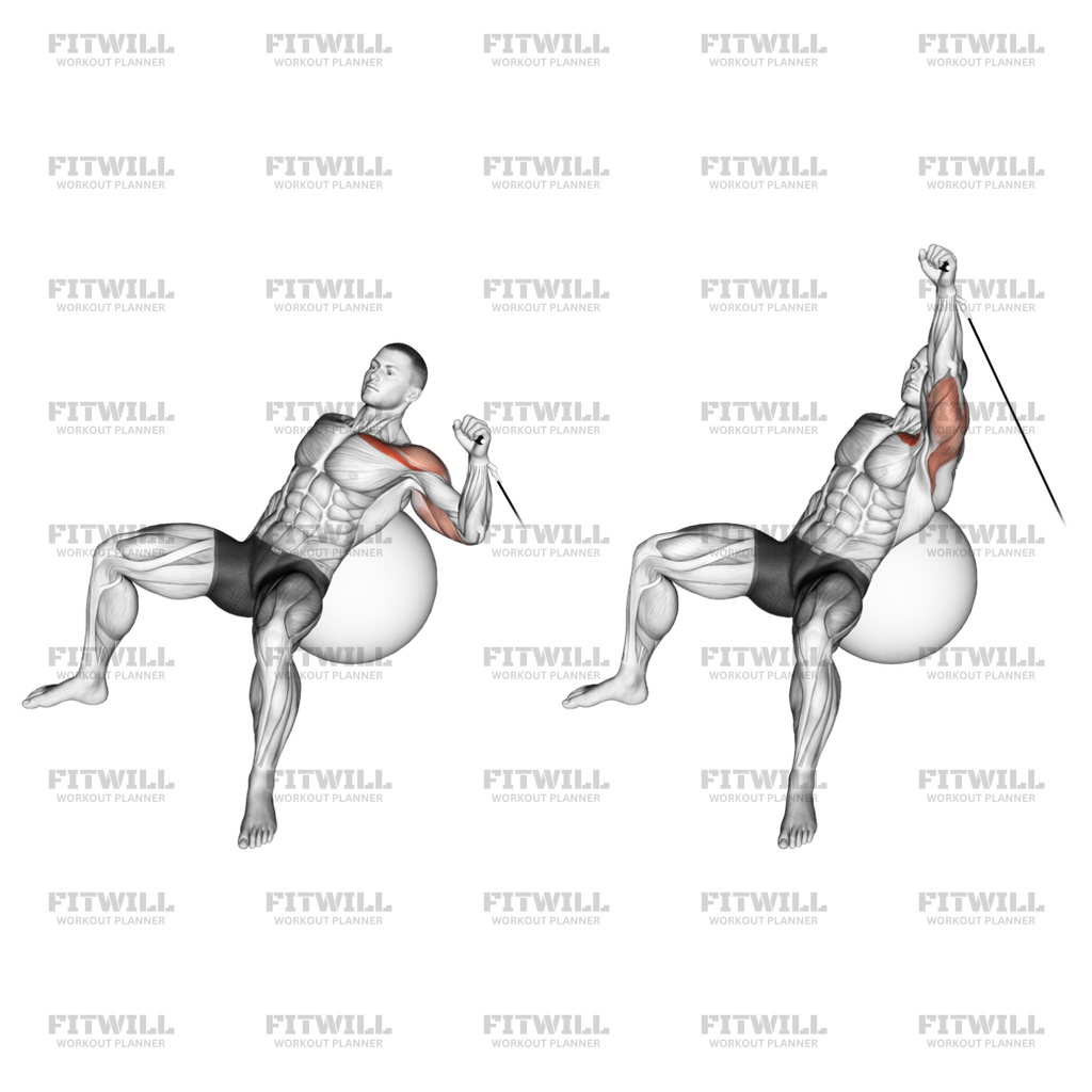 Cable One Arm Incline Press On Exercise Ball: Exercise Guide ...