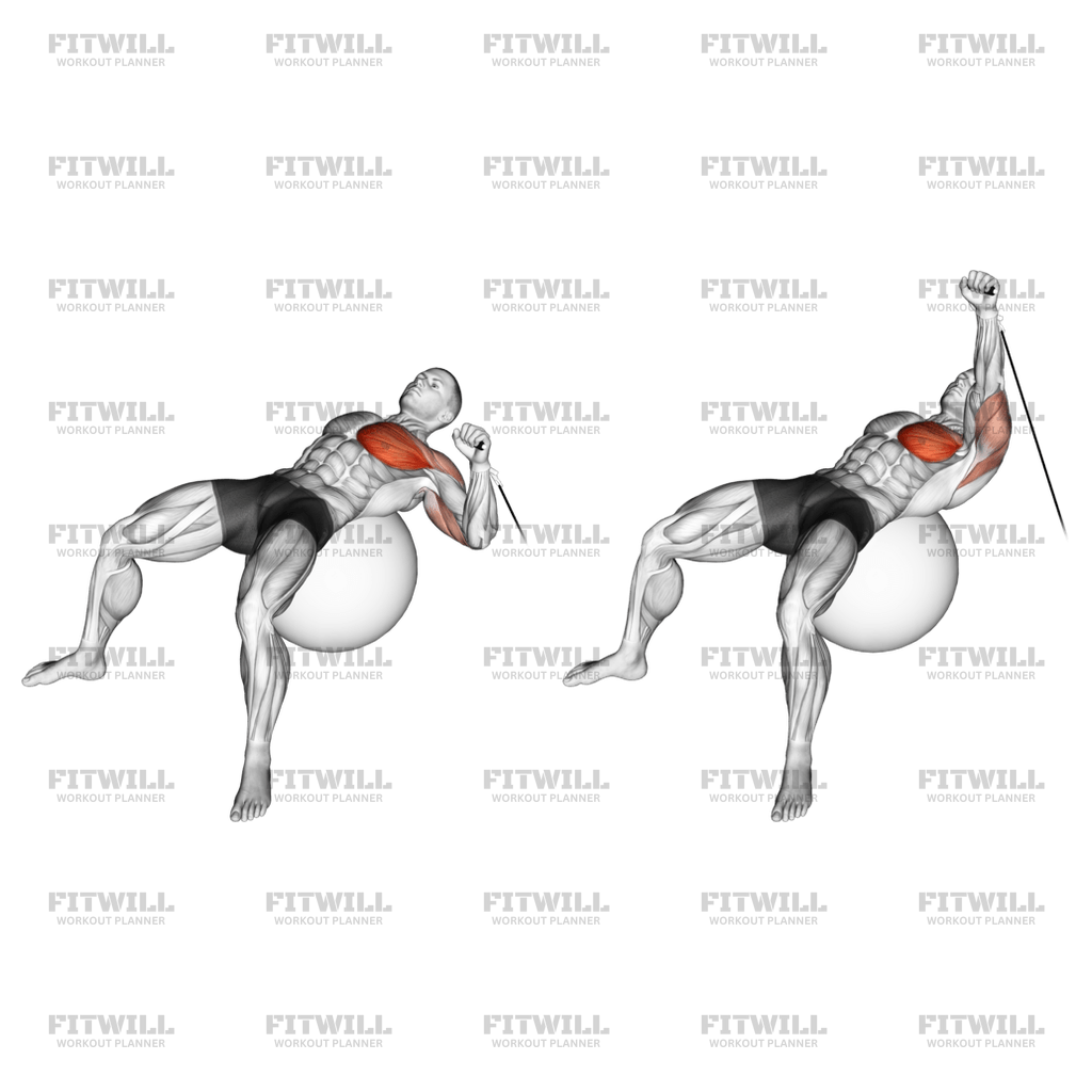 Cable One Arm Press On Exercise Ball: Exercise Guide, Techniques ...