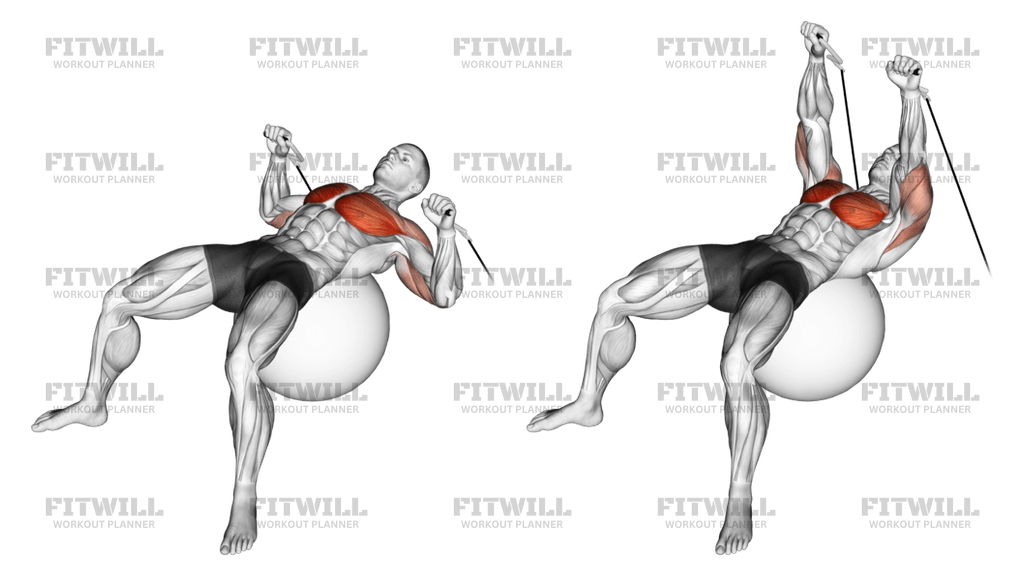 Cable Press On Exercise Ball: Exercise Guide, Techniques, Benefits, How ...