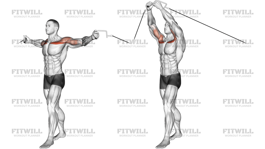 How to do Cable Upper Chest Crossovers: Techniques, Benefits, Tips ...