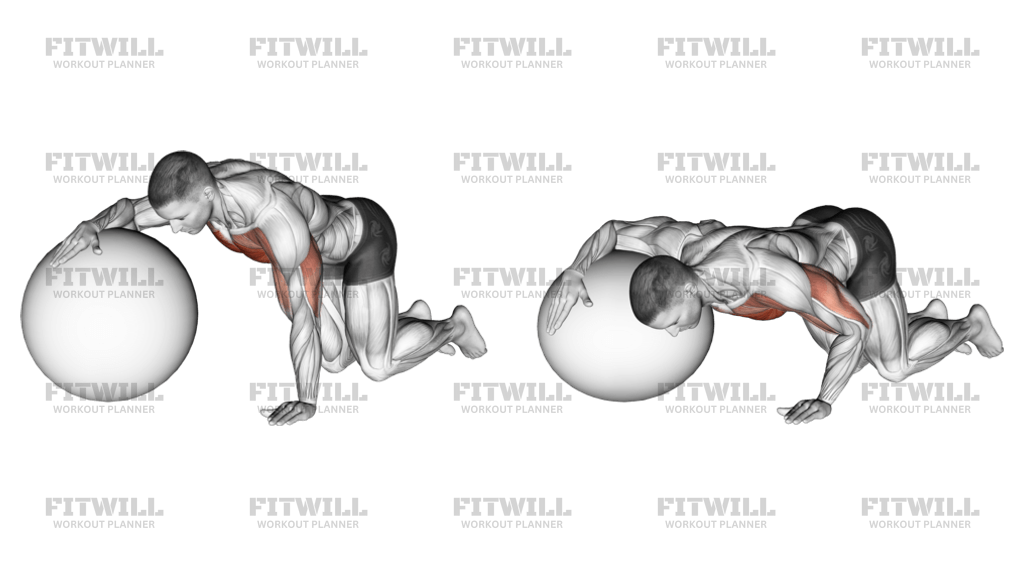 Chest Stretch With Exercise Ball: Exercise Guide, Techniques, Benefits ...