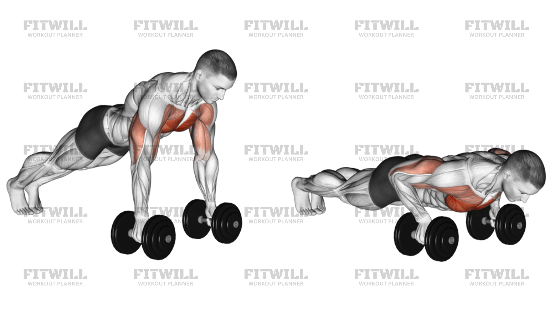 Deep Push Up: Exercise Guide, Video, Techniques, Benefits, How to ...