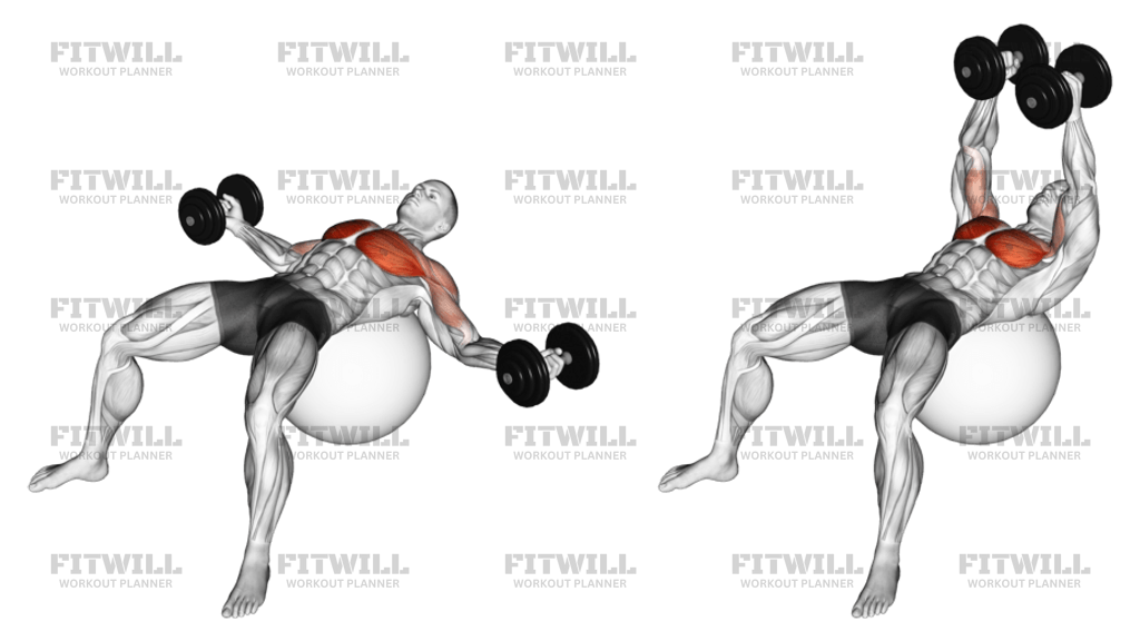 Dumbbell Fly On Exercise Ball: Exercise Guide, Video, Techniques ...