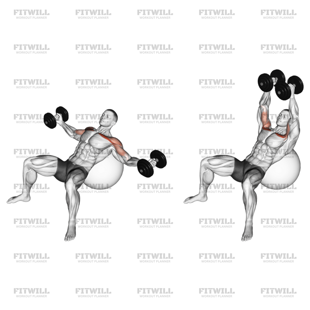 Aperturas Inclinadas Con Mancuernas Sobre Pelota De Ejercicio: Guía de ...