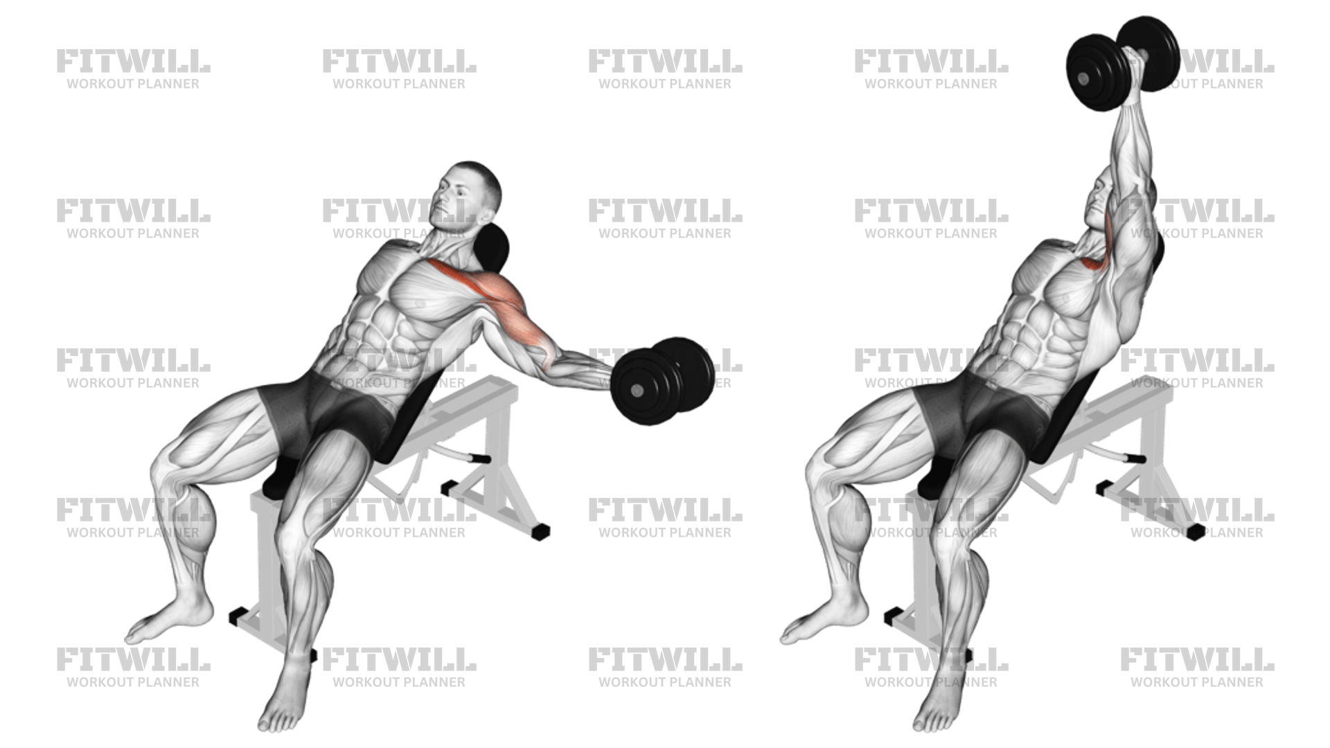 Dumbbell Incline One Arm Fly: Exercise Guide, Techniques, Benefits, How ...