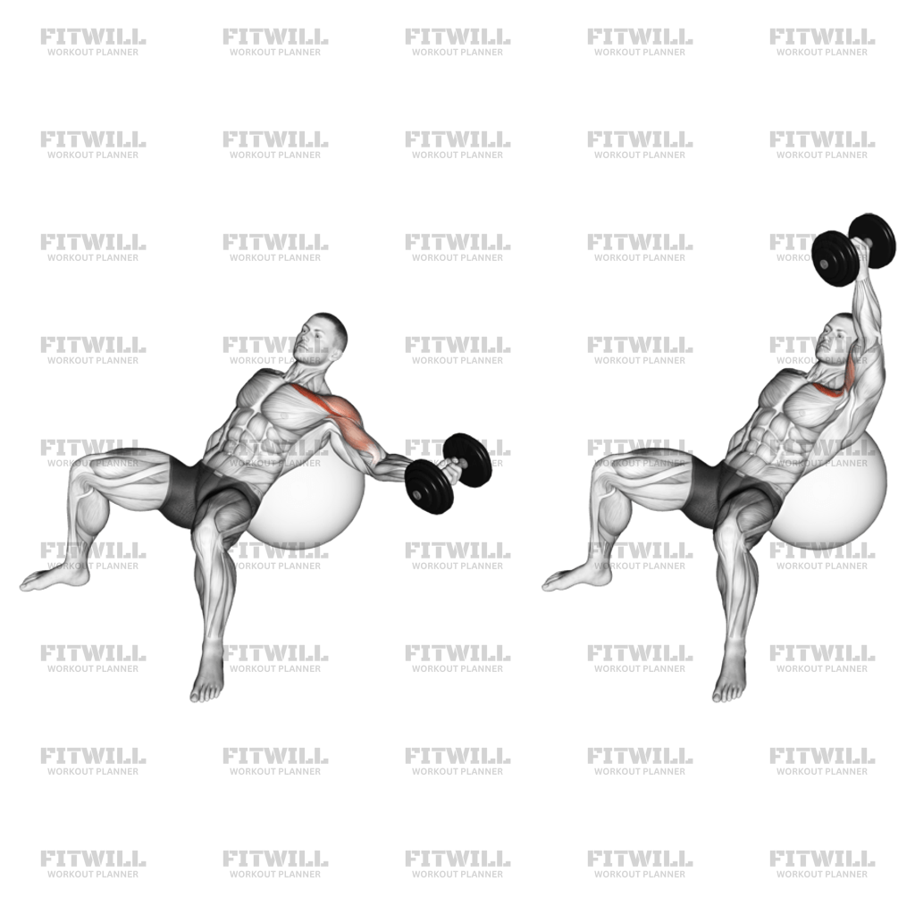 Dumbbell Incline One Arm Fly On Exercise Ball: Exercise Guide, Techniques, Benefits, How to ...