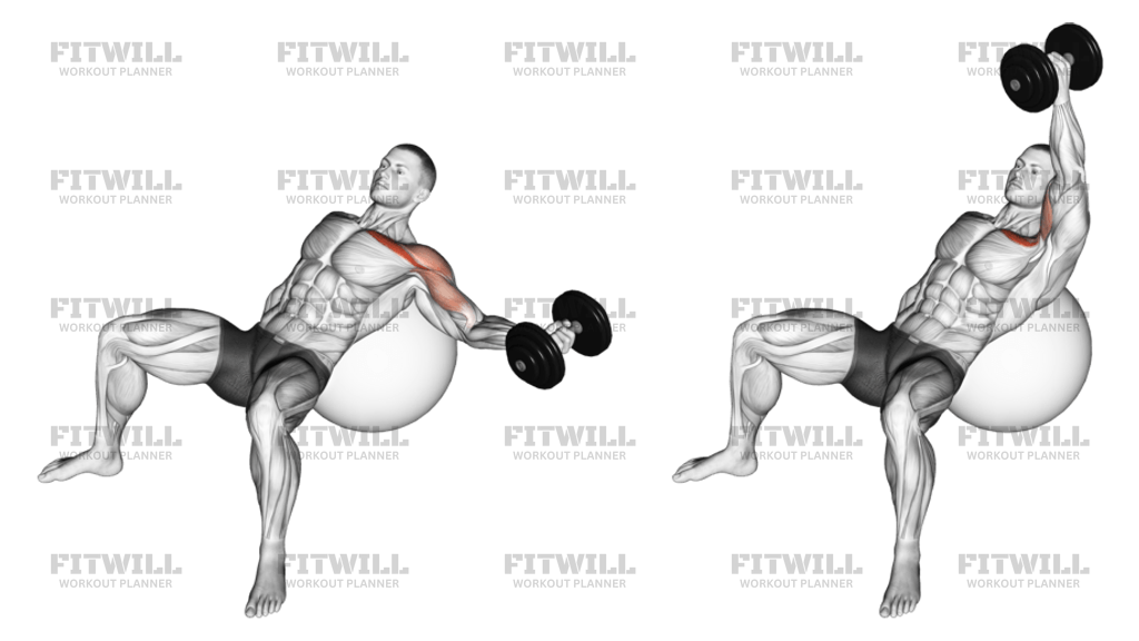 Dumbbell Incline One Arm Fly On Exercise Ball: Exercise Guide ...