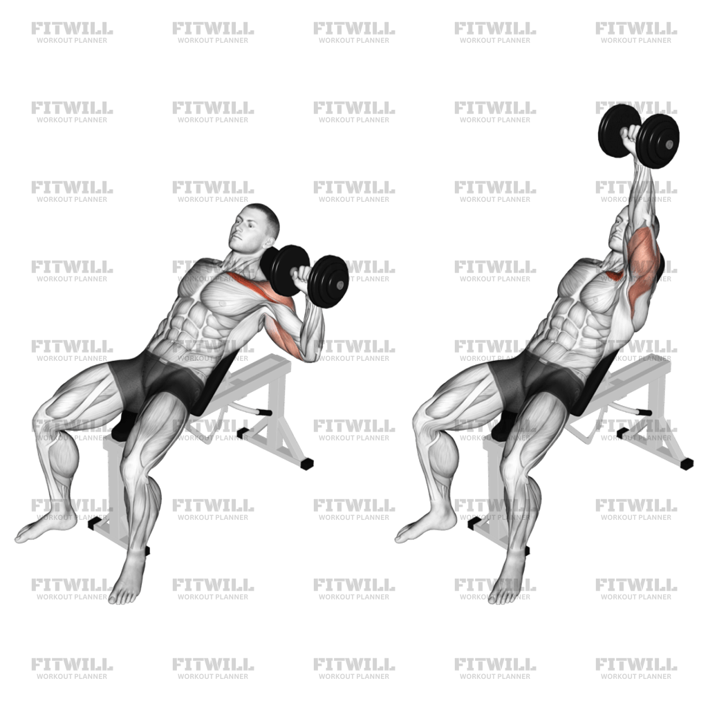 Dumbbell Incline One Arm Press: Exercise Guide, Video, Techniques ...