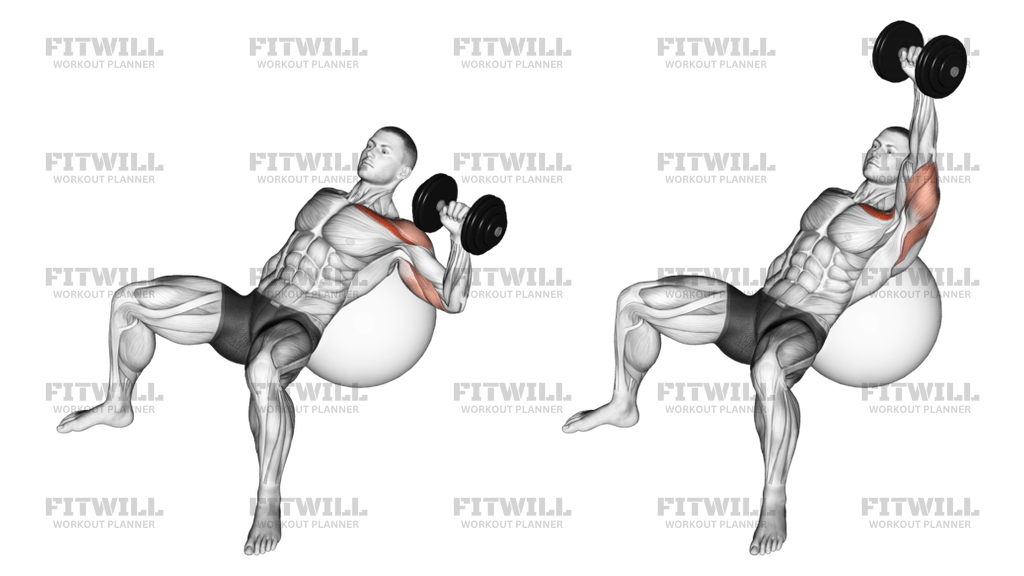 Dumbbell Incline One Arm Press On Exercise Ball: Exercise Guide, Techniques, Benefits, How to ...