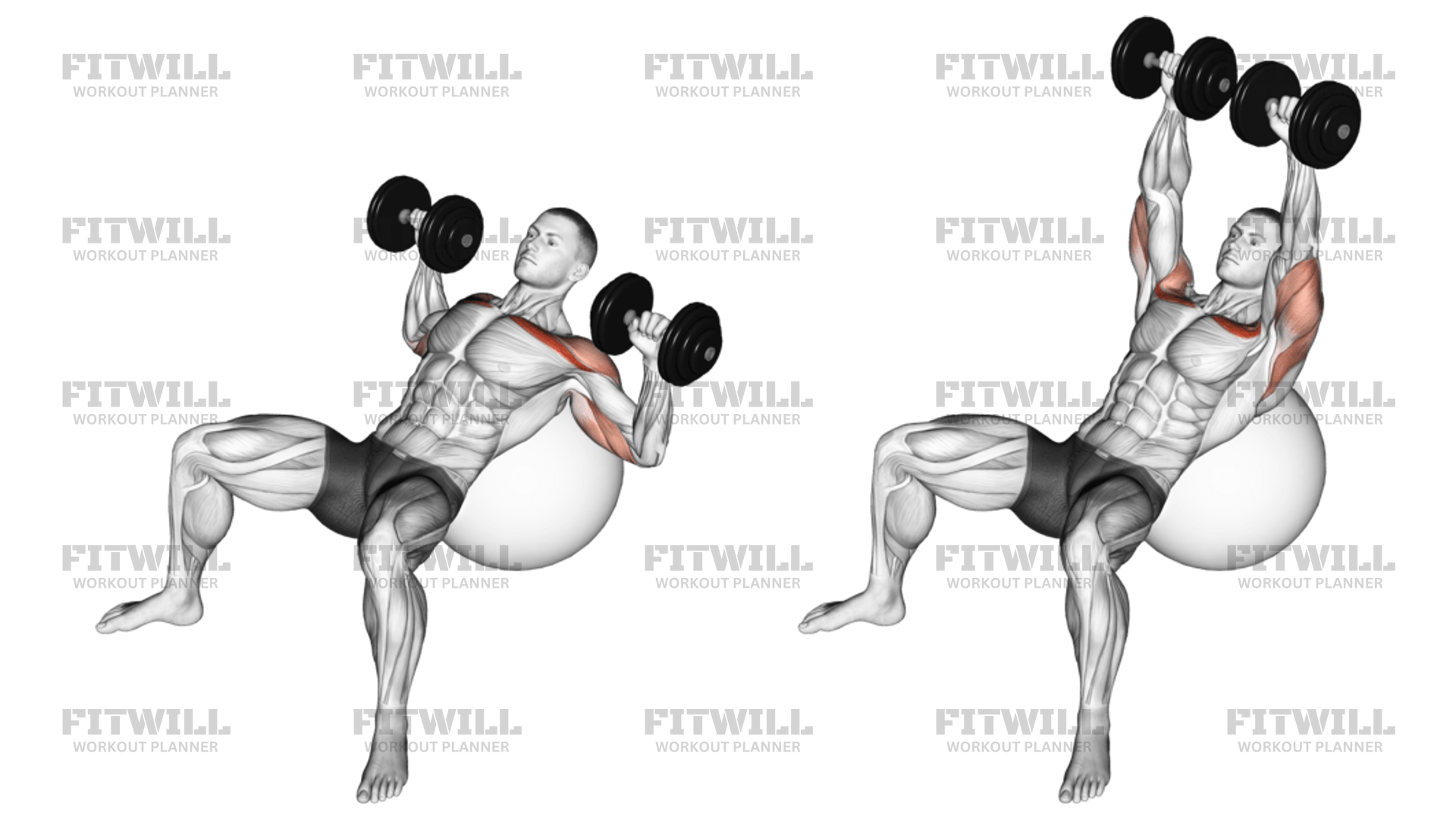 Dumbbell Incline Press On Exercise Ball: Exercise Guide, Techniques, Benefits, How to, Muscles ...