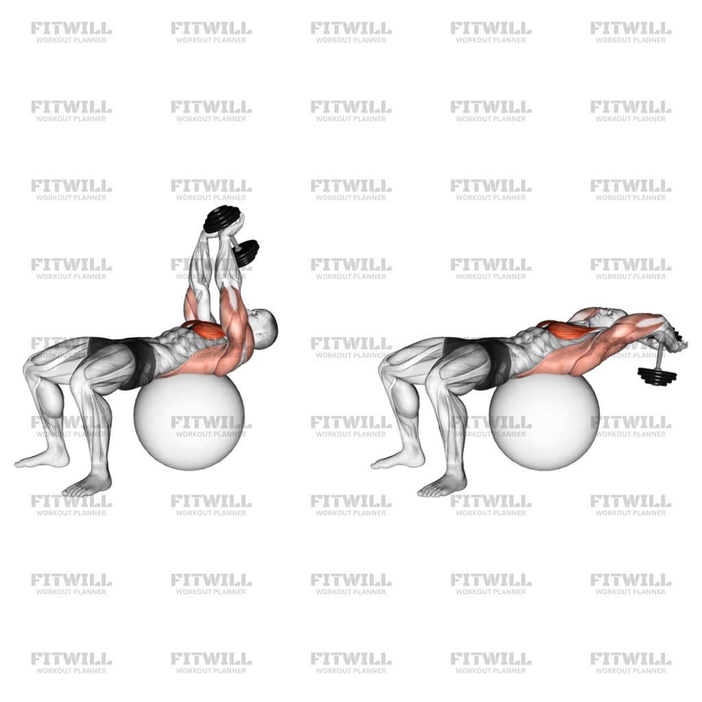 Dumbbell Lying Pullover On Exercise Ball: Exercise Guide, Video ...