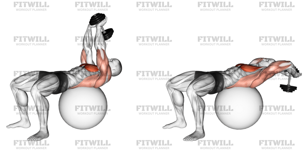 Dumbbell Lying Pullover On Exercise Ball: Exercise Guide, Video ...