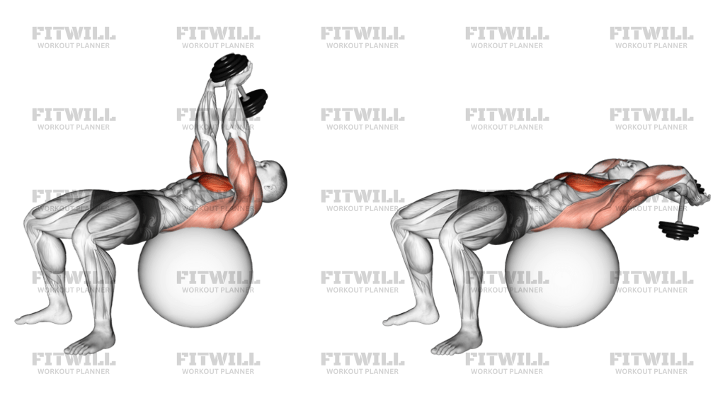Dumbbell Lying Pullover On Exercise Ball: Exercise Guide, Video ...