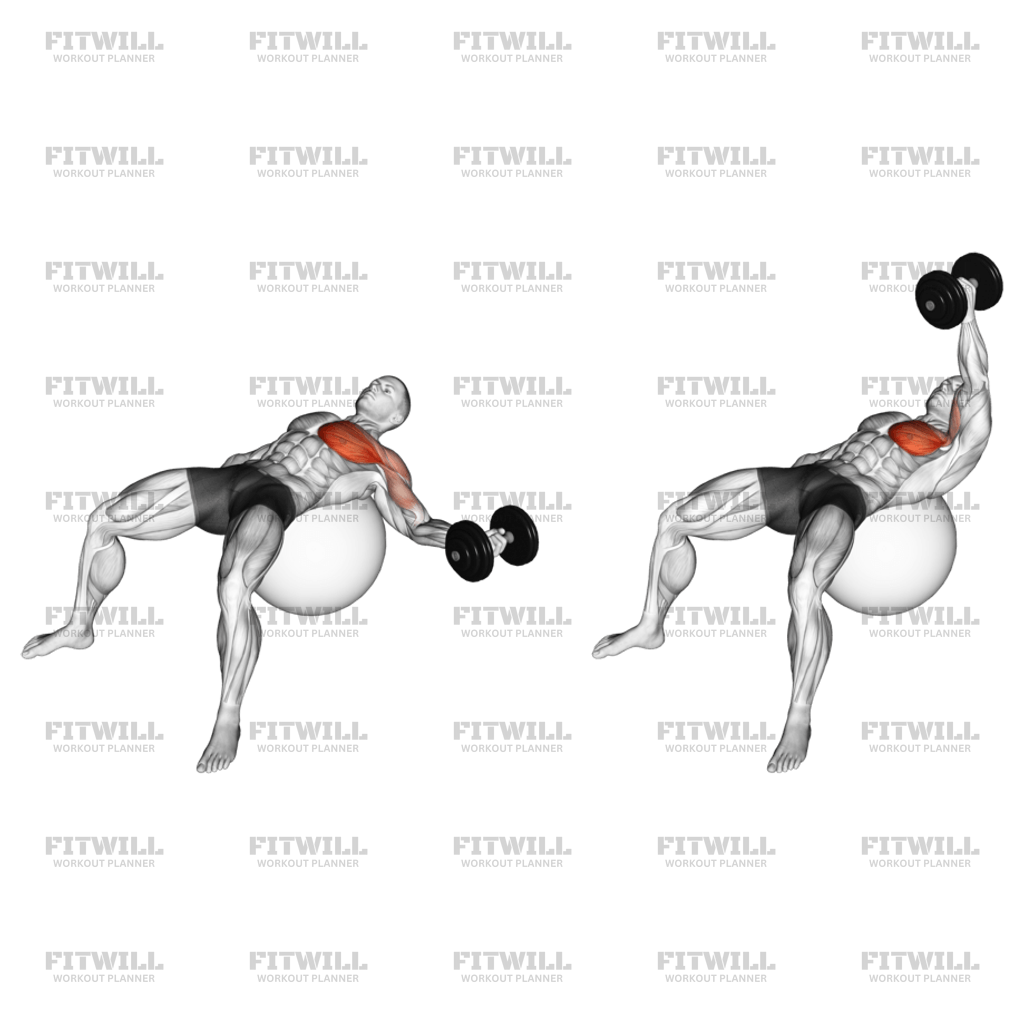 Dumbbell One Arm Chest Fly on Exercise Ball: Guide, Techniques ...