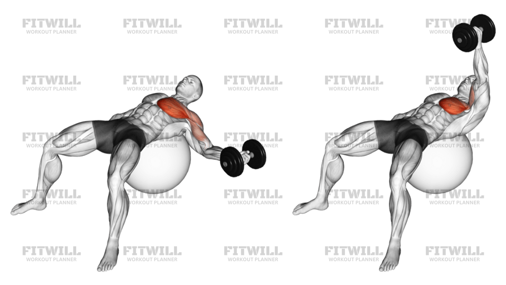 Dumbbell One Arm Chest Fly on Exercise Ball: Guide, Techniques ...