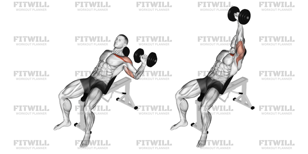 Dumbbell One Arm Incline Chest Press: Exercise Guide, Techniques ...