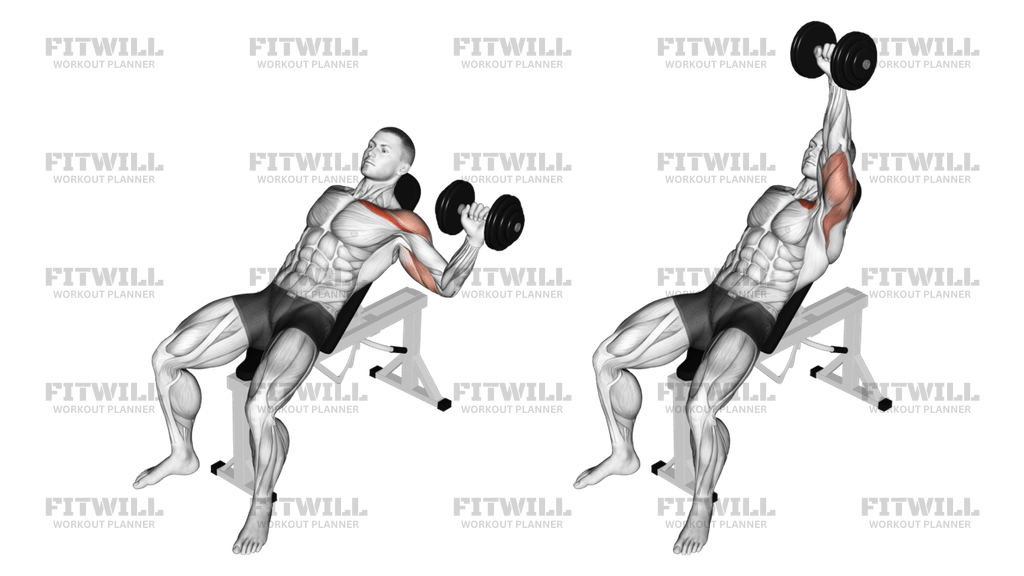 Dumbbell One Arm Incline Chest Press: Exercise Guide, Techniques ...