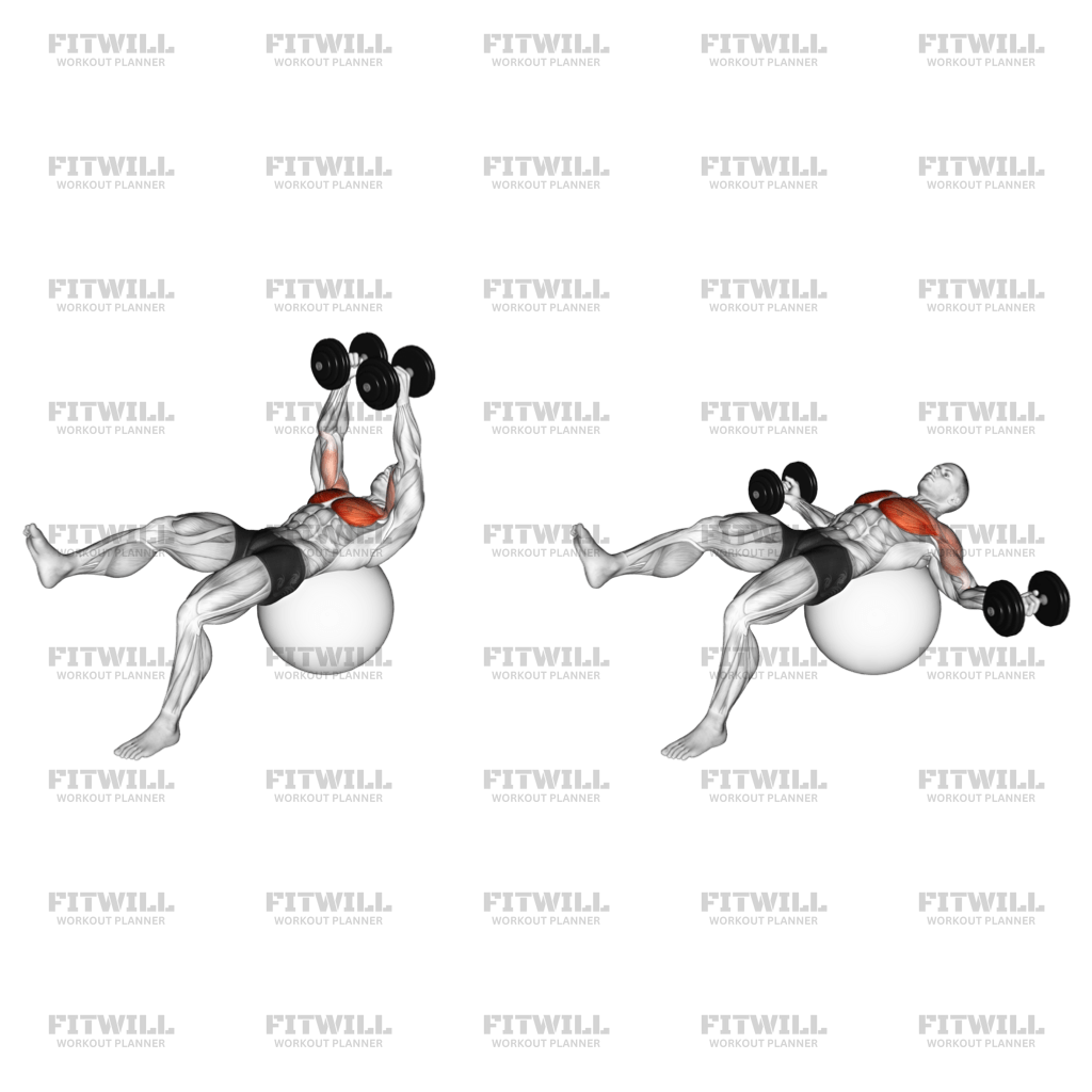 Dumbbell One Leg Fly On Exercise Ball: Exercise Guide, Techniques ...