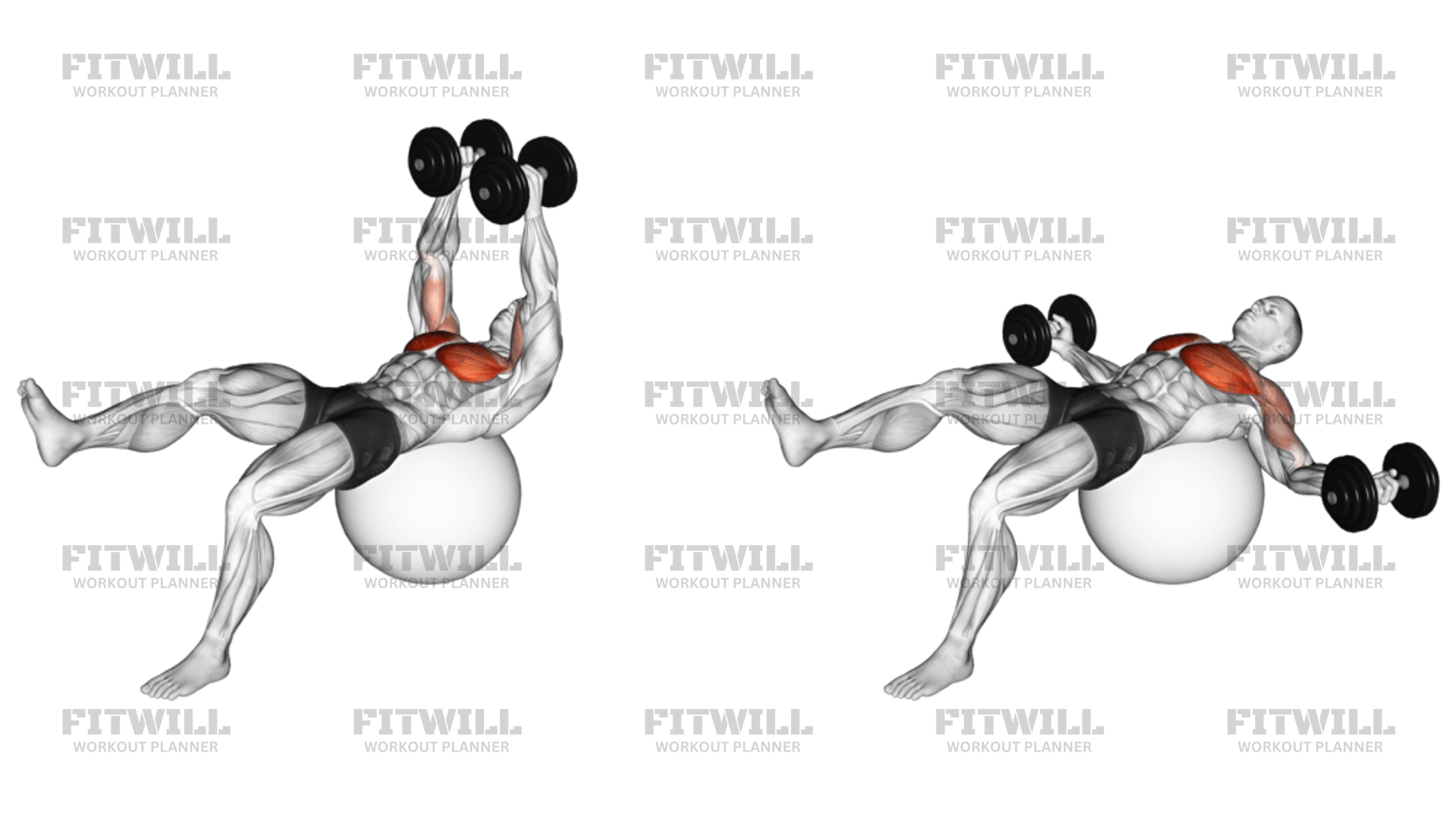 Dumbbell One Leg Fly On Exercise Ball: Exercise Guide, Techniques ...