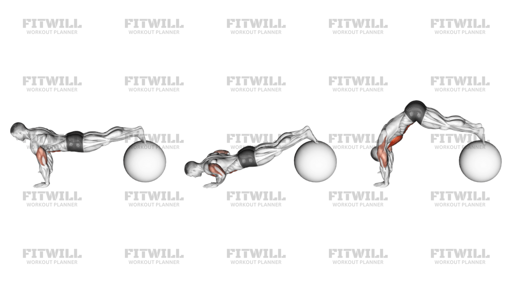 Flexión En V Con Balón De Ejercicio: Guía de Ejercicios, Técnicas, Beneficios, Cómo Realizarlo ...