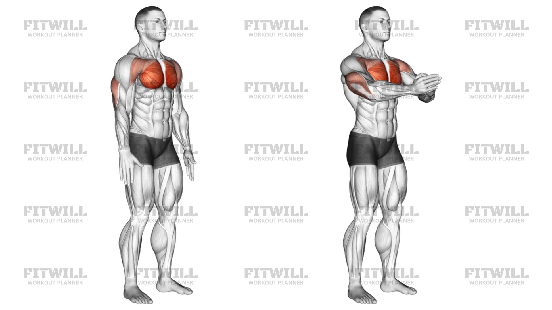Isometric Chest Squeeze: Exercise Guide, Techniques, Benefits, How to ...