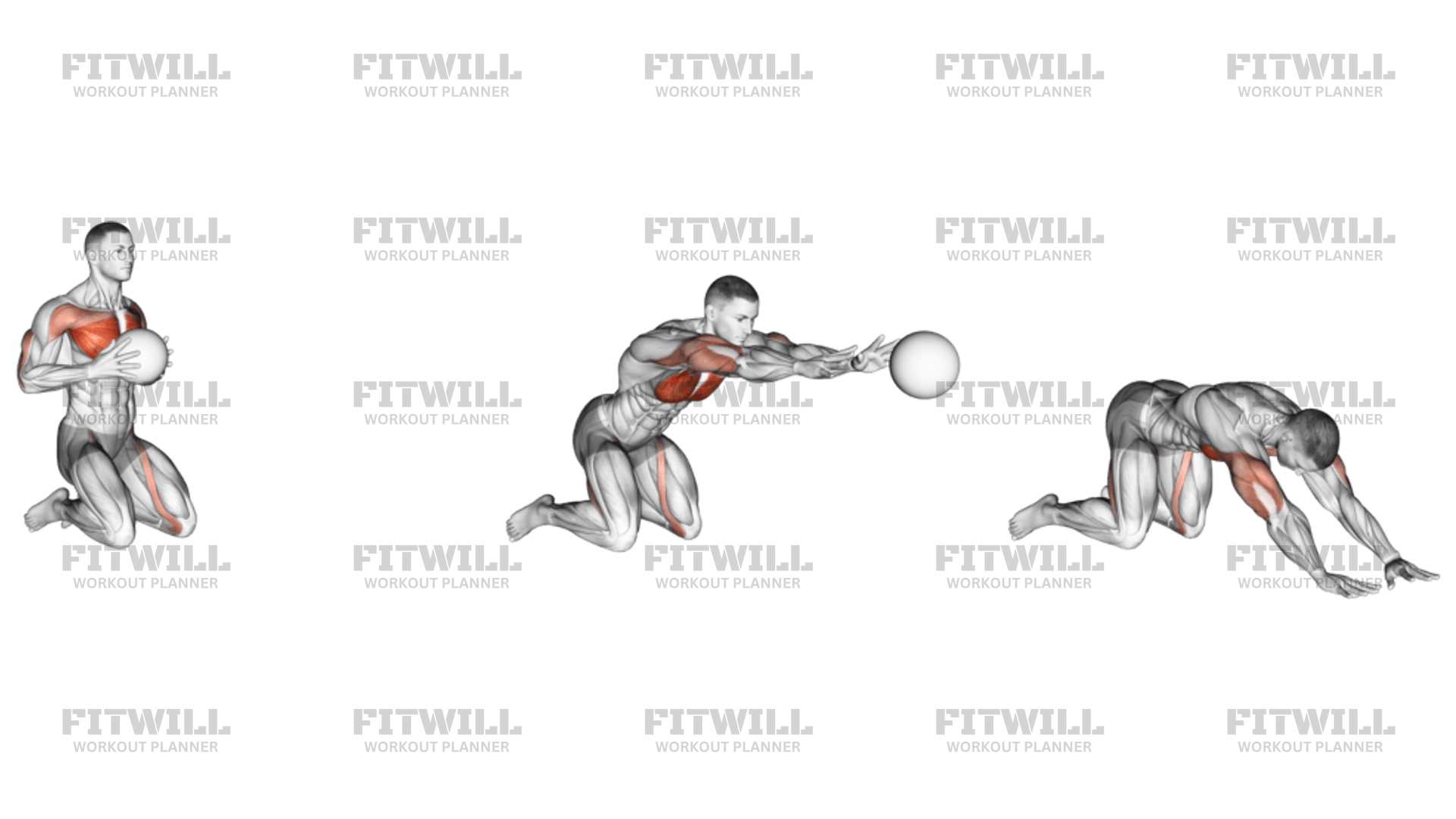 Medicine Ball Chest Push Multiple Response: Exercise Guide, Techniques ...