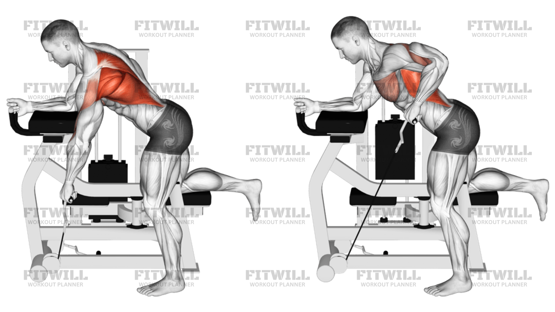 Lever Unilateral Row: Exercise Guide, Video, Techniques, Benefits, How ...