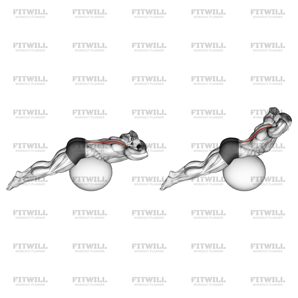 Back Extension On Exercise Ball: Exercise Guide, Video, Techniques ...