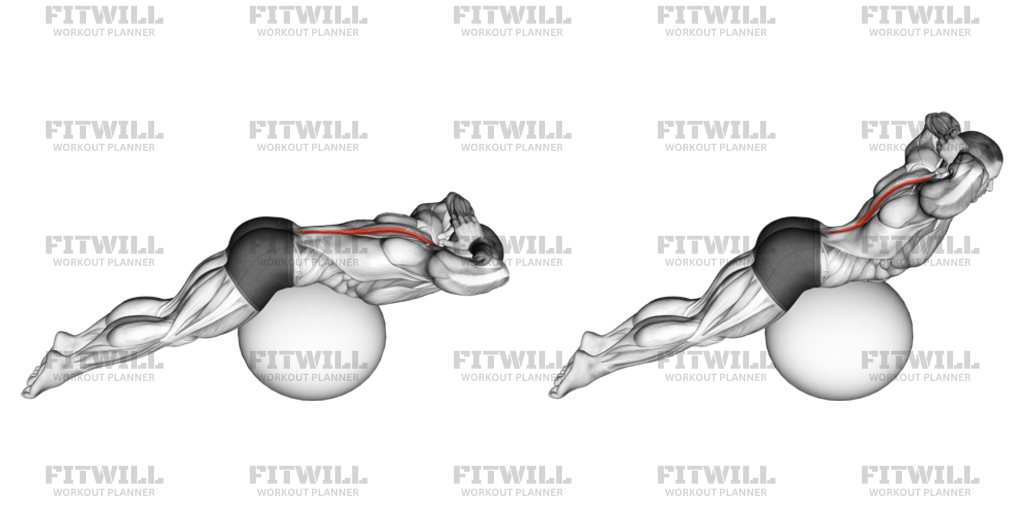 Back Extension On Exercise Ball: Exercise Guide, Video, Techniques ...