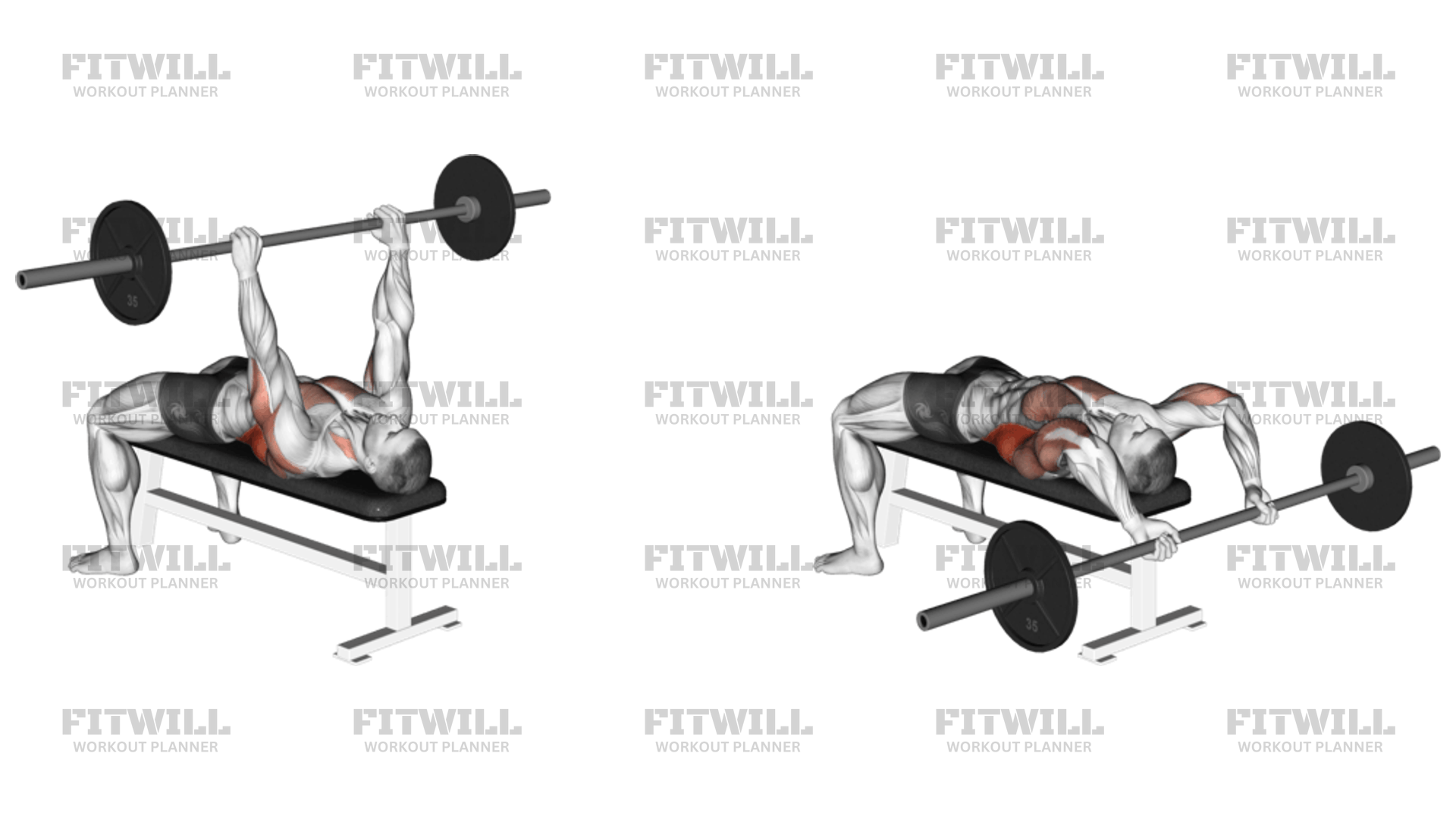 Barbell Bent Arm Pullover: Exercise Guide, Techniques, Benefits, How to ...