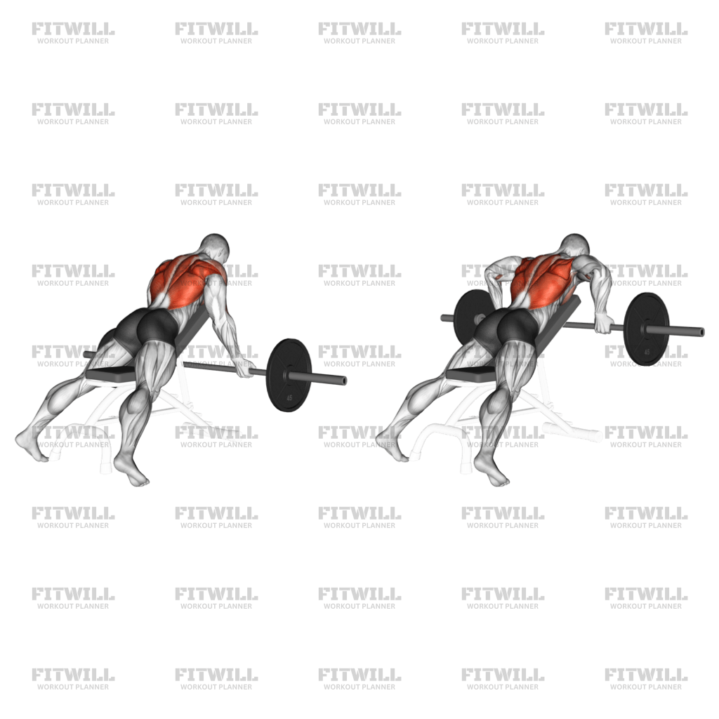 Barbell Reverse Grip Incline Bench Row: Exercise Guide, Video, Techniques, Benefits, How to ...
