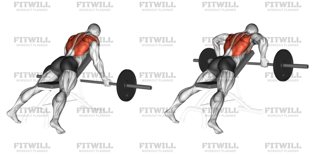 Barbell Reverse Grip Incline Bench Row: Exercise Guide, Video ...